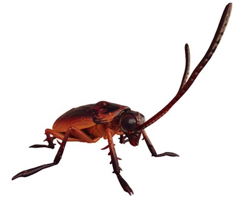 Cockroach Grounded Wiki