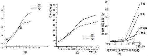 [题目]图中的甲 乙两图是小学至高中阶段男女学生身高和体重的曲线图 丙图是男女一些生殖器官的发育趋势图 请据图回答 1 从甲 乙两图提供的信息可以看出 青春期是人体生长发育最迅速的时期 在这