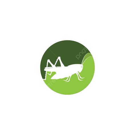 Grasshopper Template