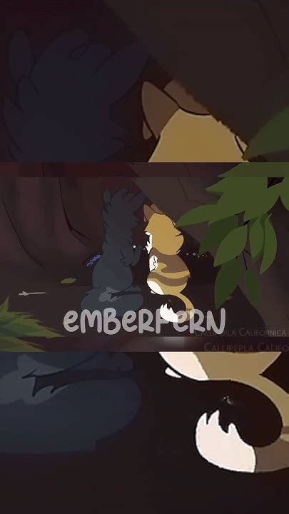 Close Your Eyes 👀 Warriorcats Edit Warriors Cat Wc Cinderpelt