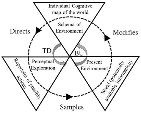 A Study Of Vulnerable Road Users Behaviors Using Schema Theory And The