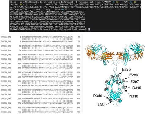 Figure 3 From Teaching Biologics Formulation Using Molecular Modeling