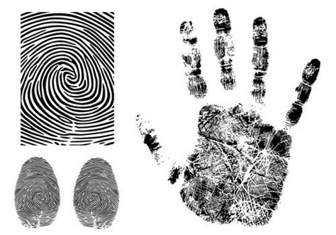 Fingerprint Vectors Design Fingerprint Vectors Design