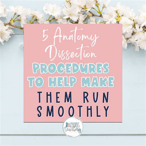5 Anatomy Dissection Procedures To Help Make Them Run Smoothly Rae