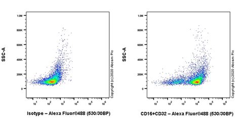 Anti Cd16cd32 Antibody Epr23501 203 Ab223200 Abcam