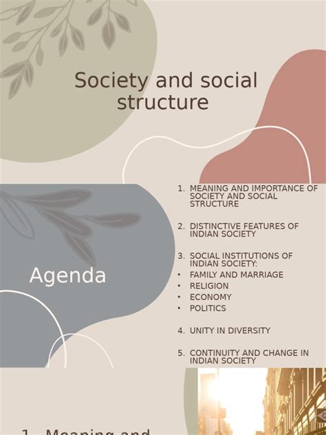 Society And Social Structure Pdf Society Multiculturalism