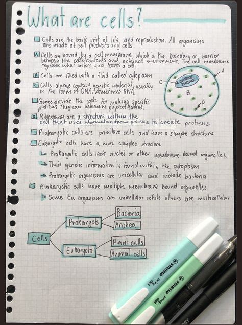 Prokaryotic And Eukaryotic Cells Notes