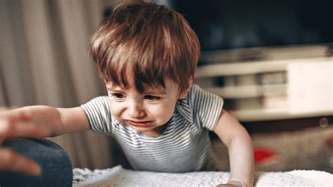 Conscientiousness Definition Examples And Traits