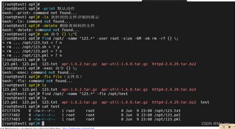 【linux】linux基础命令 ls a csdn博客