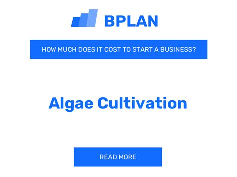 How To Start Algae Cultivation Cost And Tips For Success Bplan Ai