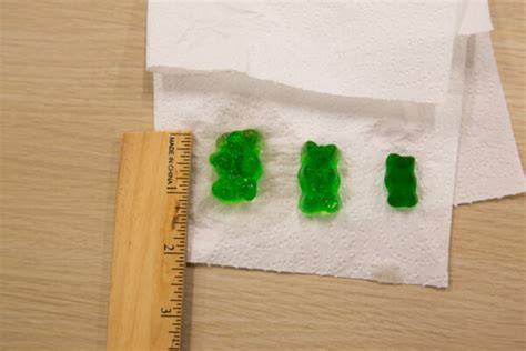 The Gummy Bear Experiment A Fun Edible Science Experiment