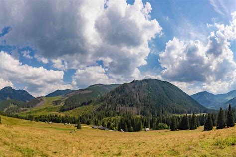 Dolina Chochołowska Jesienią Czy Warto Odwiedzić Tatry Jesienią