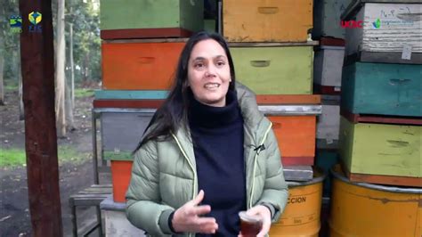 Visita Terreno Apiario Valentina 2607 Youtube