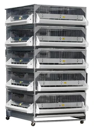 Gqf Brooders Rogier Poultry