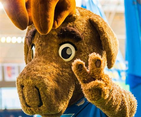 Tsg 1899 Hoffenheim Themen Lokalmatador