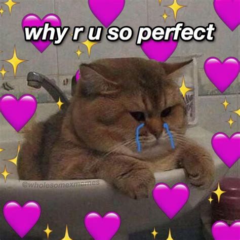 Thats Cute Meme