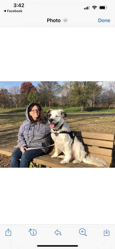 Mclovins Pet Freeze Dried Salmon Dog Treats 25 Oz Petco