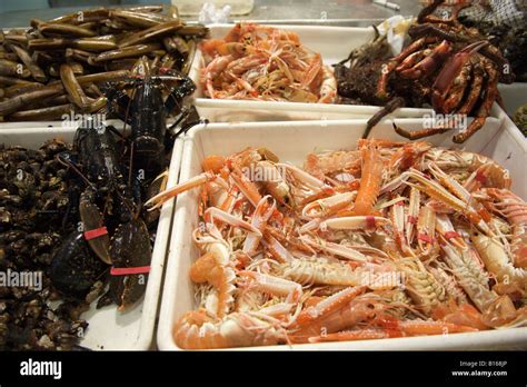 Assorted Shellfish For Sale In The Seafood Market In Santiago De