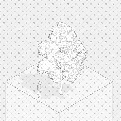 Axonometric Cad Trees With Shadows Toffu Co
