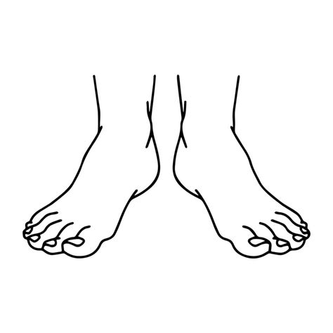 Contorno De Dibujos Animados Vectoriales Vista Superior Del Pie