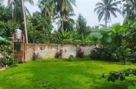 Laureen Grace Laureen Grace Added A New Photo