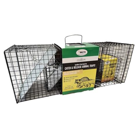 Top 5 Best Bear Trap Deal Picks 2025