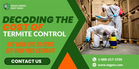 An Overview Decoding The Cost Of Termite Control Mean Green