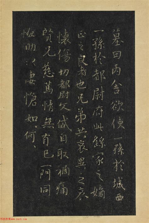 晋代王羲之草书长者帖册二王书法书法欣赏