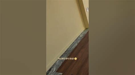 창업 브이로그4탄 Youtube