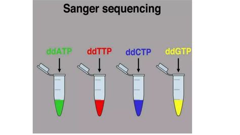 Dna Sequencing Techniques Pptx