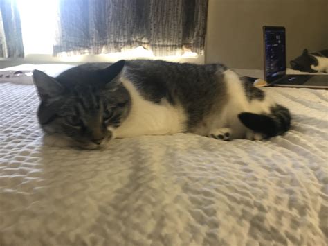 Oddwin Yet Again R Oddwin