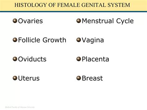 Histologic Structure Of Female Genital System Ppt