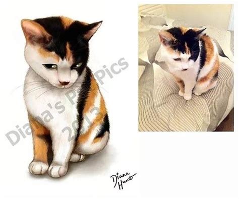 Cassie Beautiful Tortie And White Digital Artwork