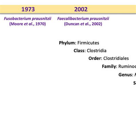 Pdf Faecalibacterium A Bacterial Genus With Promising Human Health