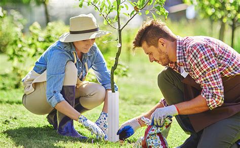 Adnee 6pcs Tree Guard Protectorsexpandable Tree Trunk