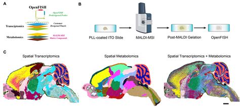 Bring Spatial Transcriptomics To Your Lab Elephant Island