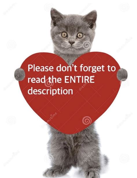 Vintage Purple Shiny Satin Lace Trim Button Nightie N… Gem