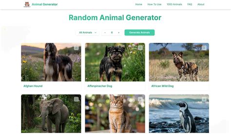 Random Bug Generator With Pictures Explore Insects Names And More