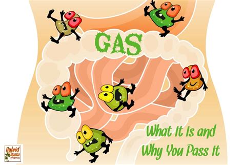 When I Pass Gas It Smells Like Sewage At Jenny Collier Blog