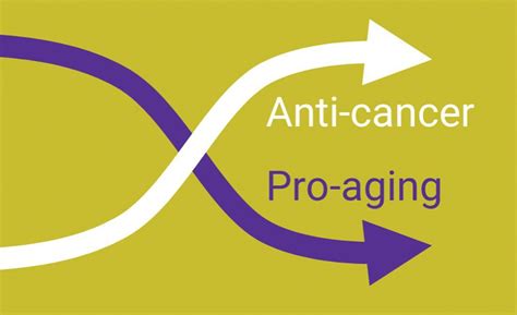 Using Stem Cells To Reverse Aging Longevitytechnology Latest News