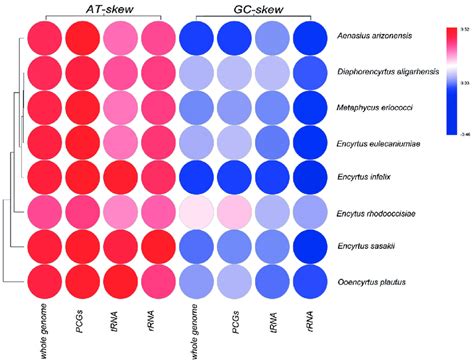 nucleotide composition of various data sets of mitogenomes