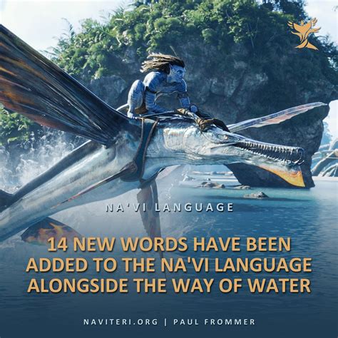 Learn Navi At 14 New Words Have Been Added To The Navi