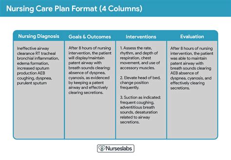 Nursing Care Plans Ncp Ultimate Guide And List Action Verbs Nursing
