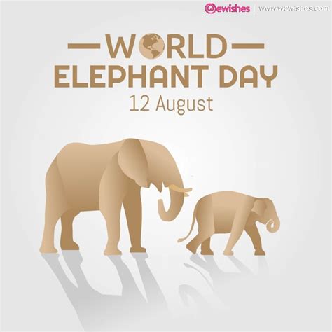 World Elephant Day 2025 Top Quotes And Wishes We Wishes