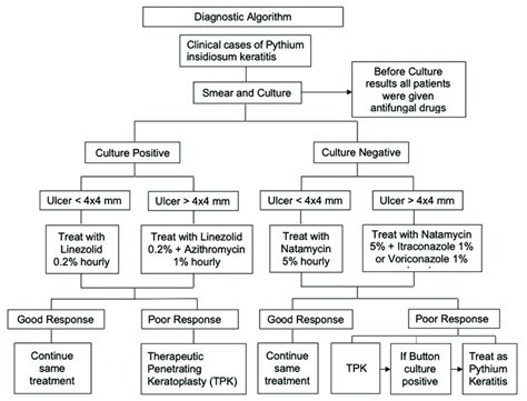 Diagnostic Algorithm For Pythium Keratitis Download Scientific Diagram