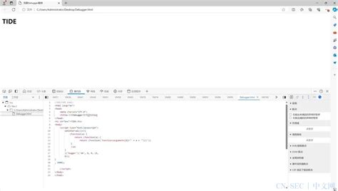 Js Debugger Cn Sec
