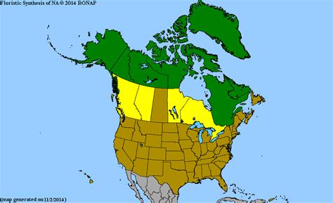 2013 Bonap North American Plant Atlas Taxonmaps