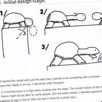 Designing A Tortoise Model Rob Ives