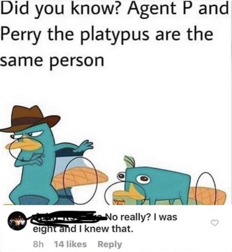 A Platypus Perry The Platypus Rwoosh