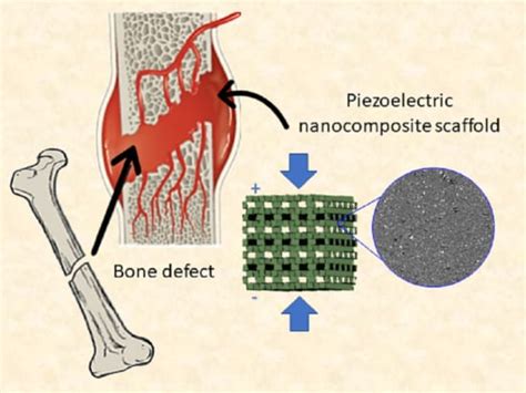 3d Printed Piezoelectric Batio3polyhydroxybutyrate Nanocomposite Scaffolds For Bone Tissue